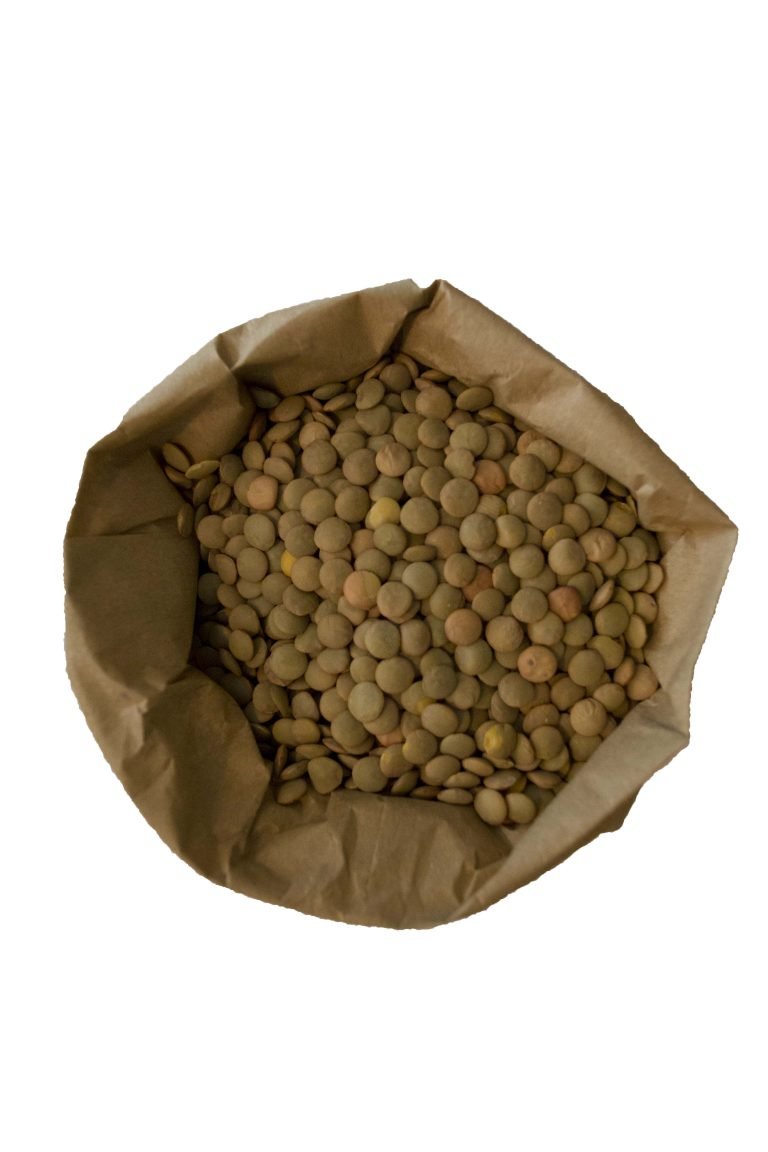 Organic green lentils - per 100g - Natural Weigh - Zero Waste Shop